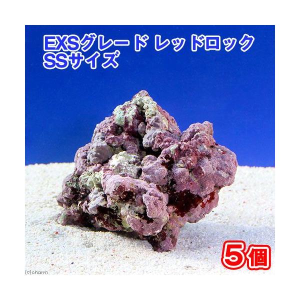 sfset　_aqua　◎　kaisui71　海水　ライブロック　ｌr_sss　tuikasp_ma1008　winter_modeLR　LR71　石灰藻　Ｓグレード　ＨＩＮ　20140914　lr_mgw_toca1201海水魚　ヤッコ　...