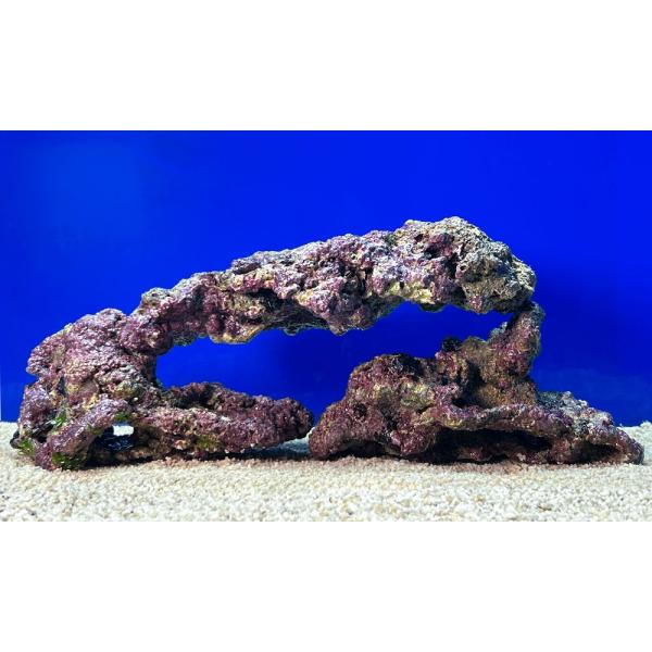 _aqua　◎　一点物　個体販売　現物　画像個体　海水　石　岩　ライブロック　ＬＲ　形状　lr_aｍ　lr_itten　海水魚　レイアウト　水槽　20260415　oyt　seitaigensen1ten　y26m04