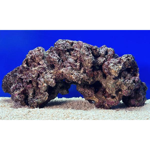 _aqua　◎　一点物　個体販売　現物　画像個体　海水　石　岩　ライブロック　ＬＲ　形状　lr_aｍ　lr_itten　海水魚　レイアウト　水槽　20260618　oyt　seitaigensen1ten　y26m07