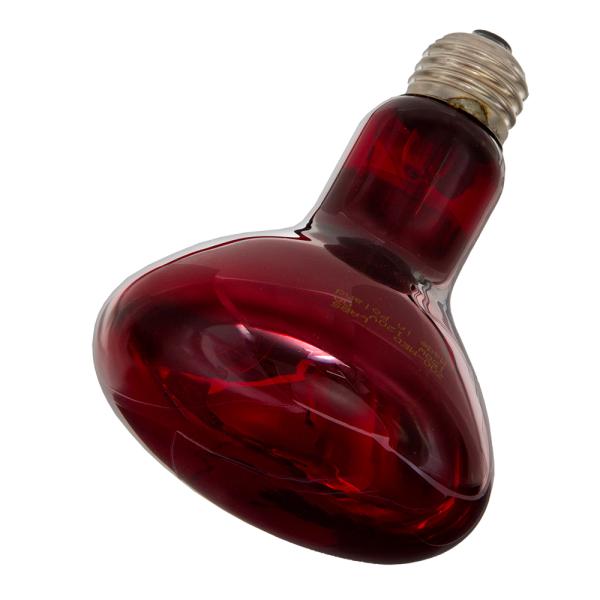 メーカー：ZOOMED　ズーメッド 亀・爬虫類　保温・サーモ・電球　保温球　ズーメッド　hoon_a　harum78　denkyu_100　yoyid_k　zuumeddo　zu_hoon　0097612331509　rep_hoonq　夜...