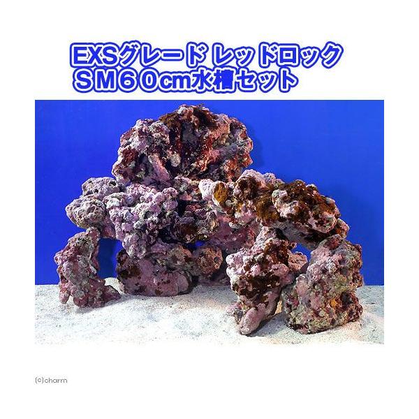 sfset　_aqua　◎　kaisui71　海水　ライブロック　tuikasp_ma1008　winter_modeLR　LR71　石灰藻　sグレード　lr_s60　ＨＩＮ　20140914　lr_mgw_toca1201　lr_okai...