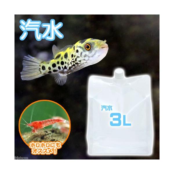 _animal　◎　人工海水・底床　海水　人工　天然海水　アクア用品　その他　オカヤドカリ用品　足し水くん汽水　海洋深層水ma　ピクシーシュリンプ　ホロホロシュリンプ　ミドリフグ　SA　20151015　_aqua　tuikasp_yh10...