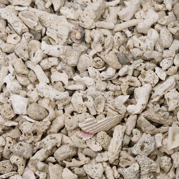 コーラルボーン　#１５　１０ｋｇ　アクアリウム　海水　サンゴ　サンゴ砂　底床　底砂　RyoKoba　サンゴ　石　海水　水槽　飾り　レイアウト　Plantstech_coralbone　ＫＫ　20240708　y24m07 Plantstec...