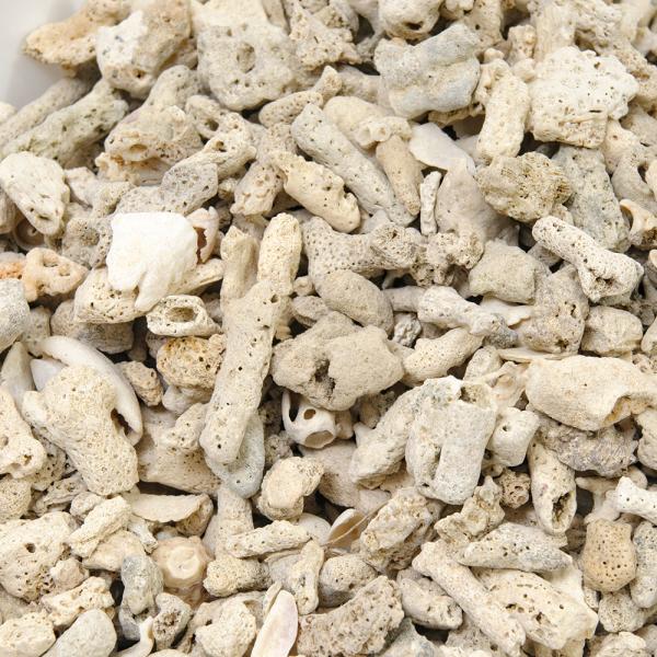 メーカー：ＣＰＦａｒｍ ＃１５　Ｃ．Ｐ．Ｆａｒｍ　天然サンゴ砂＃１５　Ｎａｔｕｒａｌ　ｃｏｒａｌ　ｓａｎｄ　１Ｌ　アクアリウム　アクア用品　海水水槽用　海水用　底砂　天然サンゴ　サンゴ砂　白　しろ　ホワイト　海水魚　ｐH　ＫＨ　上昇　安定　...