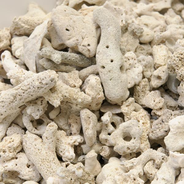 メーカー：ＣＰＦａｒｍ ＃２５　Ｃ．Ｐ．Ｆａｒｍ　天然サンゴ砂＃２５　Ｎａｔｕｒａｌ　ｃｏｒａｌ　ｓａｎｄ　３Ｌ　アクアリウム　アクア用品　海水水槽用　海水用　底砂　天然サンゴ　サンゴ砂　白　しろ　ホワイト　海水魚　ｐH　ＫＨ　上昇　安定　...