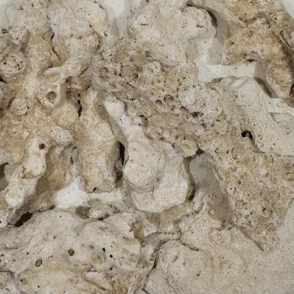 メーカー：ＣＰＦａｒｍ ＃２００　Ｃ．Ｐ．Ｆａｒｍ　天然サンゴ砂＃２００　Ｎａｔｕｒａｌ　ｃｏｒａｌ　ｓａｎｄ　３Ｌ　アクアリウム　アクア用品　海水水槽用　海水用　底砂　天然サンゴ　サンゴ砂　白　しろ　ホワイト　海水魚　ｐH　ＫＨ　上昇　安...