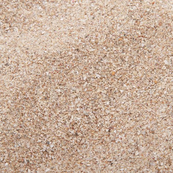 メーカー：ＣＰＦａｒｍ Ｃ．Ｐ．Ｆａｒｍ　アラゴナイトサンド　プレミアム　１Ｌ　アクアリウム　アクア用品　海水水槽用　海水用　底砂　天然サンゴ　サンゴ砂　白　しろ　ホワイト　海水魚　ｐH　ＫＨ　上昇　安定　化石サンゴ　シーピーファーム　pH...
