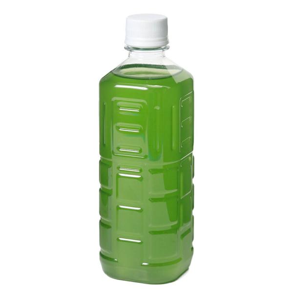 fish_databas　クロレラ　植物プランクトン　生き餌　アクア用品　餌　給餌器　生餌　ブライン　クロレラ水　５００ｃｃ　グリーンウォーター　金魚　メダカ　器具　_aqua　青水　稚魚　育成　繁殖　ブリード　fry_bait　fishb...