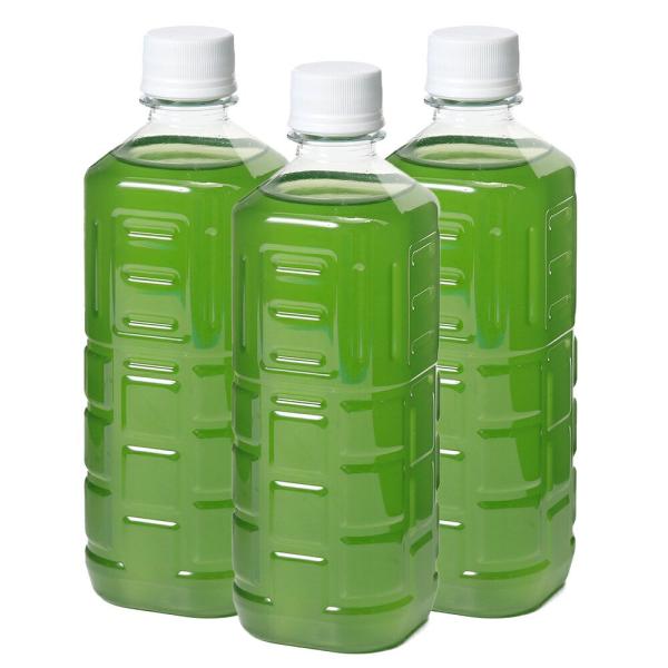 メーカー：構成品 クロレラ　生き餌　アクア用品　餌　給餌器　生餌　ブライン　クロレラ水　植物プランクトン　５００ｃｃ　グリーンウォーター　金魚　メダカ　器具　_aqua　青水　稚魚　育成　繁殖　ブリード　初期飼料　二枚貝　fishbabyf...