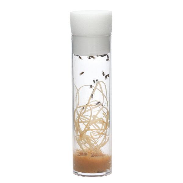 frditem_hidden　_kame　生き餌　_aqua　大型魚エサ　爬虫類エサ　器具　餌　給餌器　生餌　ブライン　爬虫類生餌　▼トリニドショウジョウバエ　フライトレス　rep_food_fruitfly　repfoodflyflog　...