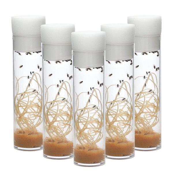 生き餌　大型魚エサ　爬虫類エサ　器具　餌　給餌器　生餌　ブライン　爬虫類生餌　▼トリニドショウジョウバエ　フライトレス　rep_food_fruitfly　repfoodflyflog　ＭＫ　20100911　活き餌　活餌　活きエサ　kai...