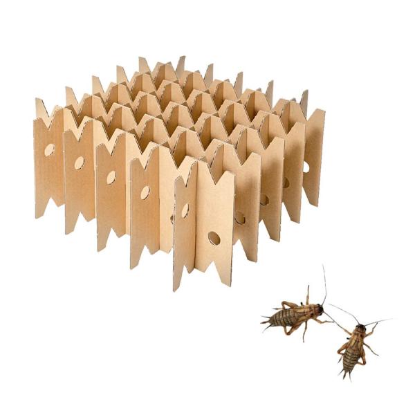 生き餌　えさ　アロワナ　えさ　大型魚エサ　爬虫類エサ　器具　餌　給餌器　生餌　爬虫類生餌　活き餌　活餌　活きエサ　フタホシコオロギ＆バグハウスセット　生餌セット　生餌育成　20240324　kak　フタホシ　ハウスクリケット　アジアコオロギ...