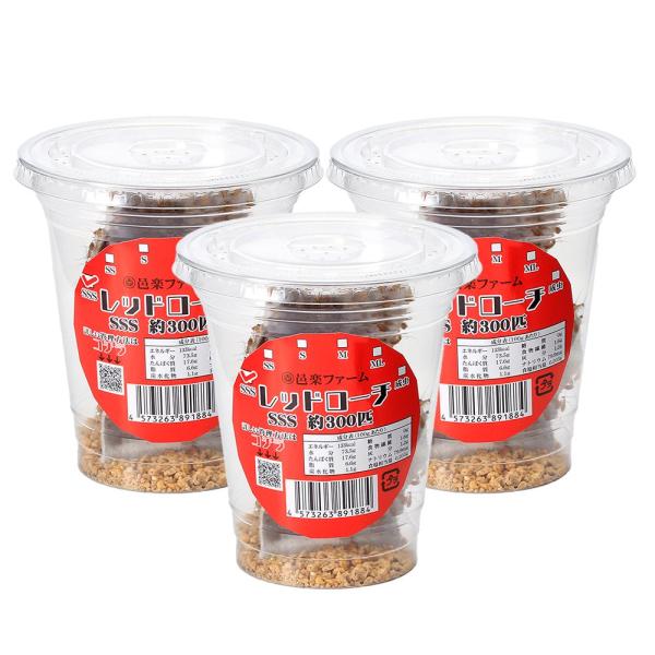 生き餌　えさ　アロワナ　_aqua　_hachu　omk_pgs　大型魚エサ　爬虫類エサ　器具　餌　給餌器　生餌　ブライン　爬虫類生餌　トルキスタンゴキブリ　Blatta　laterlis　red_roach　fish_ikie　レッドロー...