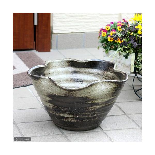 睡蓮鉢　_daily　_aqua　sfset　_gardening　スイレン　睡蓮　栽培　育て方　彩　ＳＡＩ　凛　睡蓮鉢単品　ビオトープ　鉢　ガーデニング　園芸用品　水鉢　３０ｃｍ〜　陶製　sai_flower　rin_sai_　睡蓮鉢彩　...