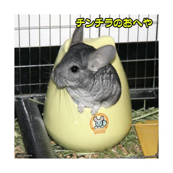 メーカー：マルカン animalhousetouki　小動物　鳥　モルモット・チンチラ　ハウス　マルカン　チンチラのおへや　陶器製　チンチラ　4906456513308　YMYM　opa2_choku　チラ壺　壺　つぼ　ちらつぼ