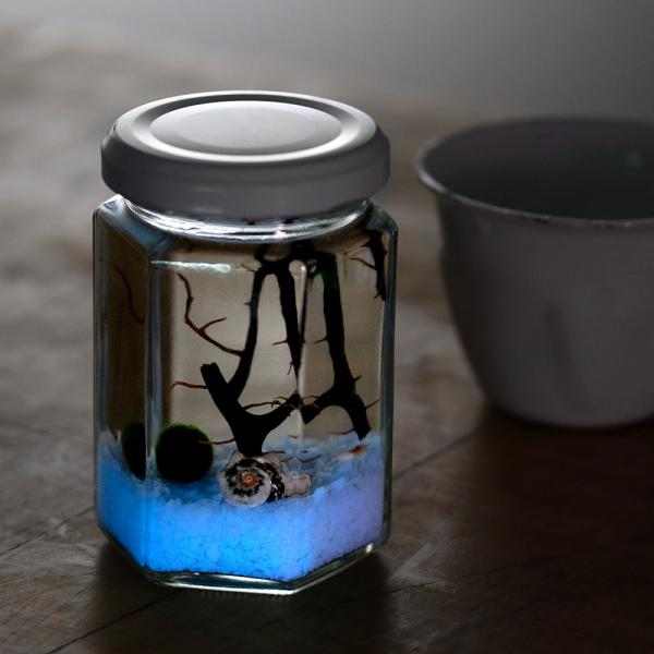 interioraquaholho　bnr_miniaqua_catebottom　熱帯魚・エビ他　ヌマエビ系　ホロホロボトル　ボトルアクアリウム　水槽　セット商品　水草　魚付きセット　ビーシュリンプ・エビ　インテリア水槽　オパエウラ　ピク...