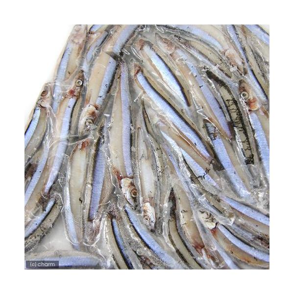 メーカー：カタ養殖 アクアリウム用品　アクア用品　餌　冷凍餌　その他　カタ養殖　冷凍キビナゴ　Ｌ　５００ｇ　_aqua　reptop_frozen-insect　size_unmeasure　opa2_delete　カタファーム　エサ　フー...