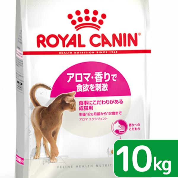 メーカー：ロイヤルカナン catbig5　3182550767361　猫フード　ドライフード　ロイヤルカナン　royalcanin　20100922　ＤＦ　cat_predry　プレミアムフードroma_catfood　sfset　_nek...