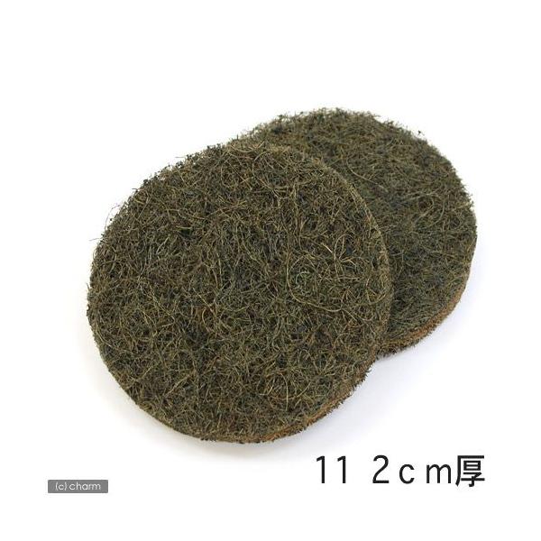 メーカー：(株)リーフ Leaf Corp line250910p510aqua　アクアリウム用品　naisyoku_syukei　hwlist　アクア用品　ろ材　ウールマット　ウール　スポンジ　Leaf　Corp　ノーブランド　ヤシガラマ...