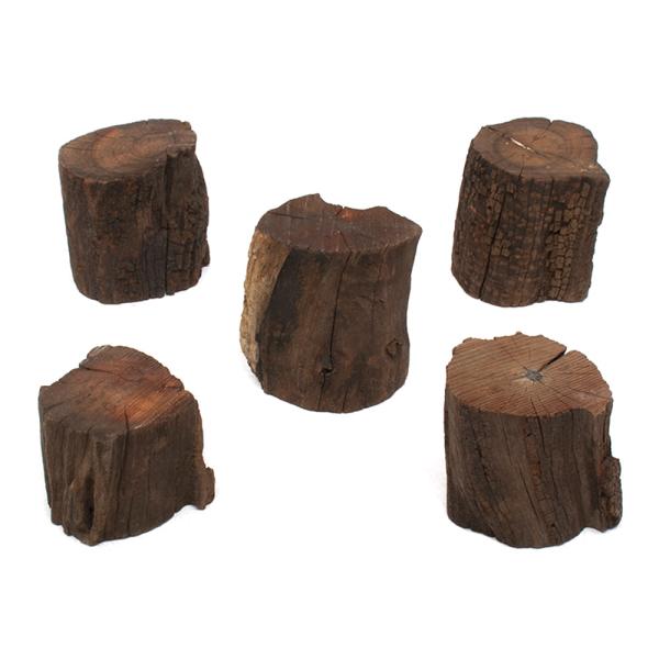 形状お任せ　煮込み済み　切り株ドリフトウッド　Mサイズ(約7〜9cm)　Normalタイプ(高さ約5〜10cm)　5本　2250008080766　流木　塊状流木　切株　アクアリウム　テラリウム　パルダリウム　爬虫類　両生類　レイアウト　素...