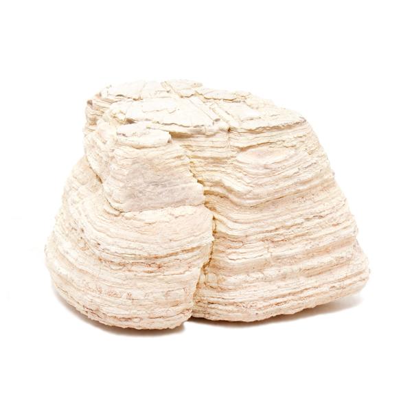 形状お任せ　淡層石　Ｍサイズ（約１３〜１８ｃｍ）　１個　アクアリウム　レイアウト素材　2250008081183　アクアリウム用品　アクア用品　素材　レイアウト素材　レイアウト　石　岩　飾り石　天然石　天然岩　自然石　ロック　ストーン　レイ...