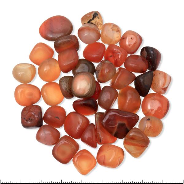 さざれ石　レッドアゲート　瑪瑙　１００ｇ　鉱物　鉱石　テラリウム　レイアウト素材　飾り石　4582645931087　アクアリウム　パルダリウム　両生類　爬虫類　鉱石テラリウム　ミネラル　宝石　水晶　サボテン　多肉植物　飾り砂　sk0311...