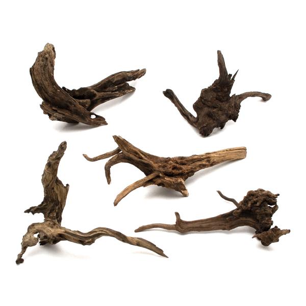 ディアーホーンウッド　スリムウッド　流木・石　流木　塊状流木　アクアリウム　レイアウト　素材　水草レイアウト　テラリウム　アクアテラリウム　パルダリウム　熱帯魚　水草　形状お任せ　煮込み済み　ディアーホーンウッド　Mサイズ　5本　kszk　...