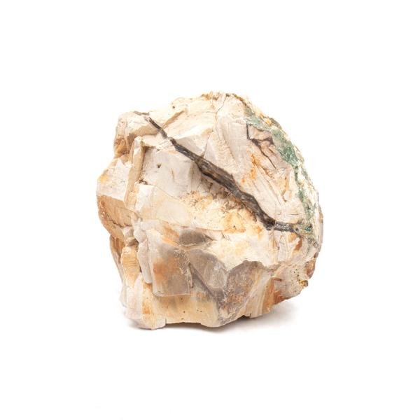 形状お任せ　木化石　Ｓサイズ（約８〜１３ｃｍ）　１個　2250008096224　石　アクアリウム用品　アクア用品　レイアウト素材　レイアウト　素材　熱帯魚　アクアリウム　パルダリウム　コケリウム　アクアテラリウム　水槽用アクセサリ　隠れ家...