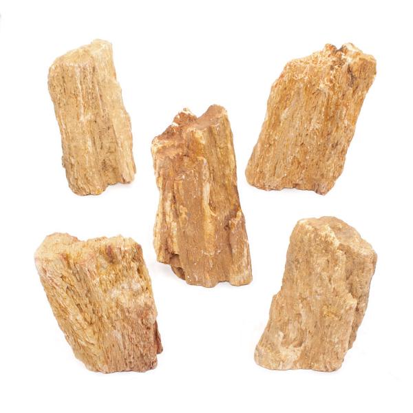 形状お任せ　木紋岩　Ｍサイズ（１３〜１８ｃｍ）　５個　アクアリウム　レイアウト素材　石　アクアリウム用品　アクア用品　レイアウト素材　レイアウト　素材　熱帯魚　アクアリウム　パルダリウム　コケリウム　アクアテラリウム　水槽用アクセサリ　隠れ...