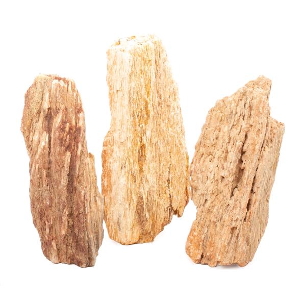 形状お任せ　木紋岩　Ｌサイズ（１８〜２３ｃｍ）　３個　アクアリウム　レイアウト素材　石　アクアリウム用品　アクア用品　レイアウト素材　レイアウト　素材　熱帯魚　アクアリウム　パルダリウム　コケリウム　アクアテラリウム　水槽用アクセサリ　隠れ...