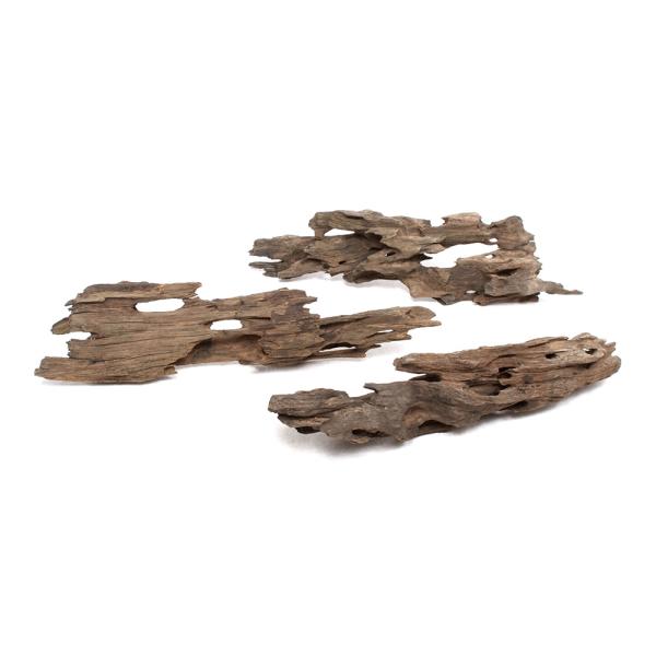 形状お任せ　煮込み済み　ちょい足し　ハニカムウッド　Lサイズ(25〜30cm)　3本　2250008099867　塊状流木　アクアリウム　テラリウム　パルダリウム　爬虫類　両生類　レイアウト　素材　水草レイアウト　アクアテラリウム　熱帯魚　...