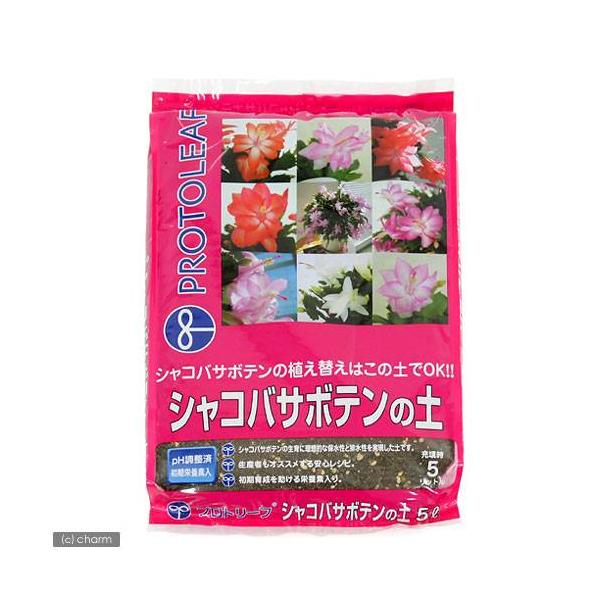 メーカー：プロトリーフ 培養土　土　シャコバサボテンの土　５Ｌ　4535885018056　ガーデニング　園芸用品　用土・砂　その他　シャコバサボテン　20110301　MI　プロトリーフの土・肥料　_gardening　多肉　多肉植物　カ...