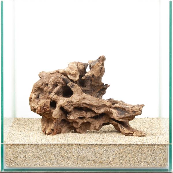 メーカー：レイアウト素材 流木／石　流木　３０ｃｍ水槽用　流木・石　ディアーホーンウッド　アクアリウム　一点物　１点物　レイアウト素材　アクアリウム用品　テラリウム　アクアテラリウム　パルダリウム　熱帯魚　水草　水草レイアウト　202601...