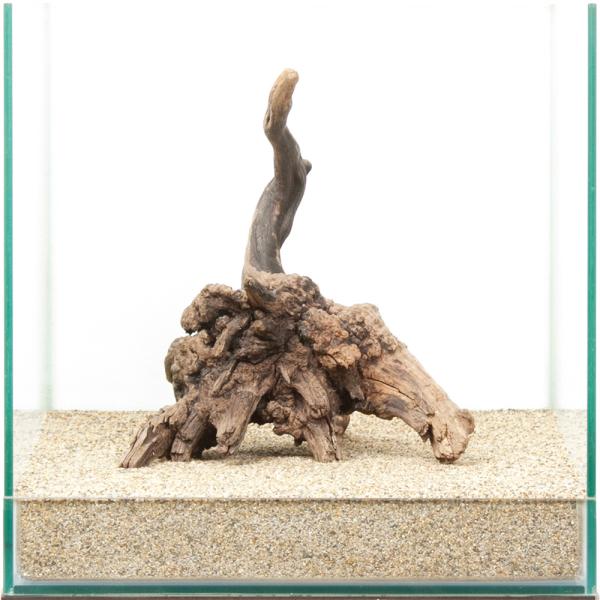 メーカー：レイアウト素材 流木／石　流木　３０ｃｍ水槽用　流木・石　ディアーホーンウッド　アクアリウム　一点物　１点物　レイアウト素材　アクアリウム用品　テラリウム　アクアテラリウム　パルダリウム　熱帯魚　水草　水草レイアウト　202601...