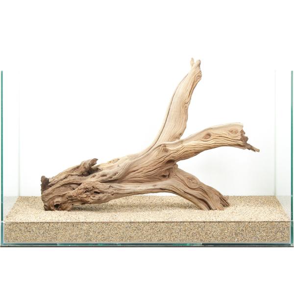 メーカー：レイアウト素材 流木／石　流木　６０ｃｍ水槽用　流木・石　一点物　ゴーストウッド　６００　ブラック　アクアリウム　１点物　レイアウト素材　アクアリウム用品　テラリウム　アクアテラリウム　パルダリウム　熱帯魚　水草　水草レイアウト　...