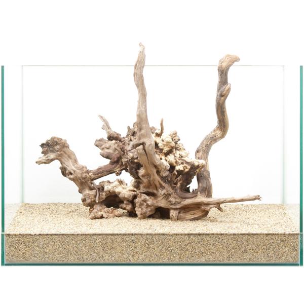 メーカー： 流木／石　流木　４５ｃｍ水槽用　流木・石　上質流木　ディアーホーンウッド　アクアリウム　一点物　１点物　レイアウト素材　アクアリウム用品　テラリウム　アクアテラリウム　パルダリウム　熱帯魚　水草　水草レイアウト　20260202...