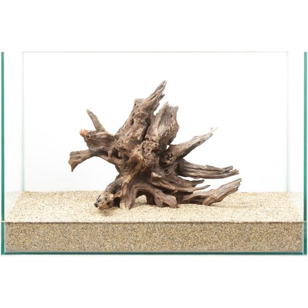 メーカー： 流木／石　流木　４５ｃｍ水槽用　流木・石　上質流木　ディアーホーンウッド　アクアリウム　一点物　１点物　レイアウト素材　アクアリウム用品　テラリウム　アクアテラリウム　パルダリウム　熱帯魚　水草　水草レイアウト　20260205...