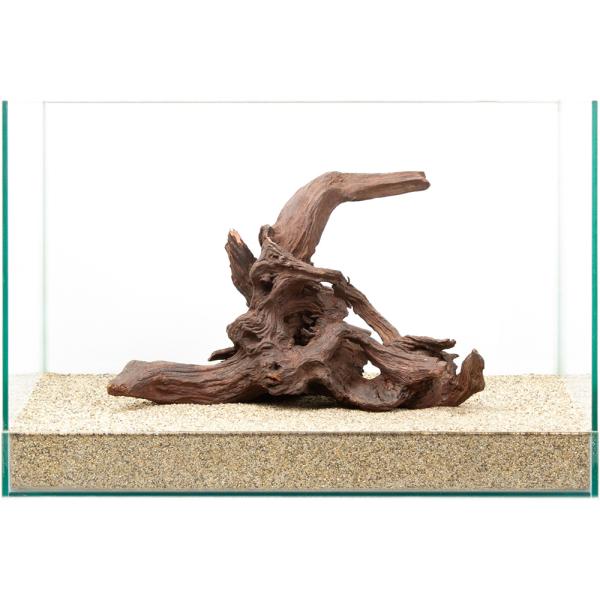 メーカー： 流木／石　流木　４５ｃｍ水槽用　流木・石　一点物　上質ドリフトウッド　４５０　ブラック　アクアリウム　１点物　レイアウト素材　アクアリウム用品　テラリウム　アクアテラリウム　パルダリウム　熱帯魚　水草　水草レイアウト　20260...