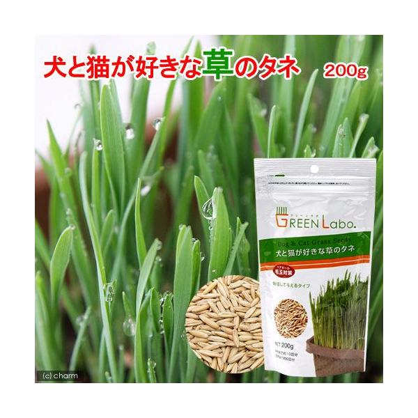 メーカー：エイムクリエイツ 猫フード　犬と猫が好きな草の種　２００ｇ　ねこ草　ペットグラス　栽培　自家栽培　猫　ねこ　20110427　TT３　_neko　4540013200029　s31Irb6_nkyh　YPKCHK_014　opa2...