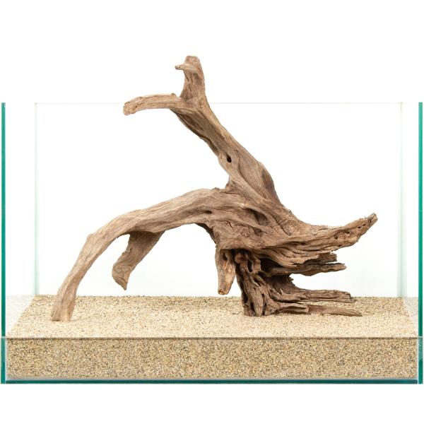 メーカー： 流木／石　流木　４５ｃｍ水槽用　流木・石　上質流木　ディアーホーンウッド　アクアリウム　一点物　１点物　レイアウト素材　アクアリウム用品　テラリウム　アクアテラリウム　パルダリウム　熱帯魚　水草　水草レイアウト　20260406...