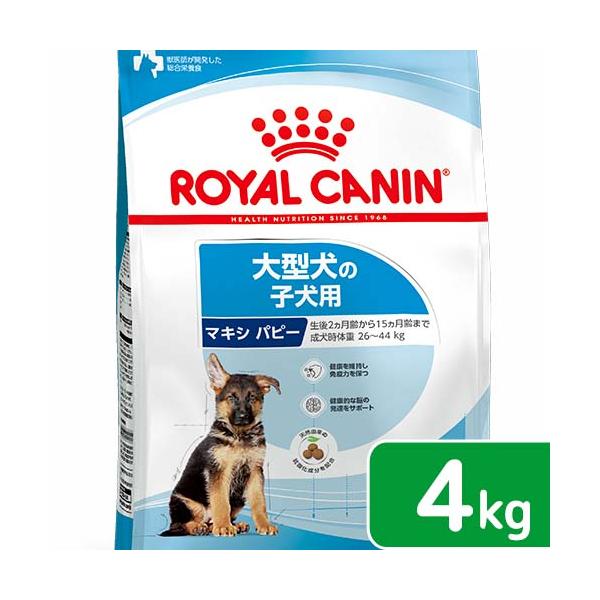 メーカー：ロイヤルカナン _dog　3182550402149　_Bigdog　_Premiumfood　_Youken　4kg　bnr_rcn_maxipappy　CANIN　HEALTH　MAXI　NUTRITION　ROYAL　S_C...