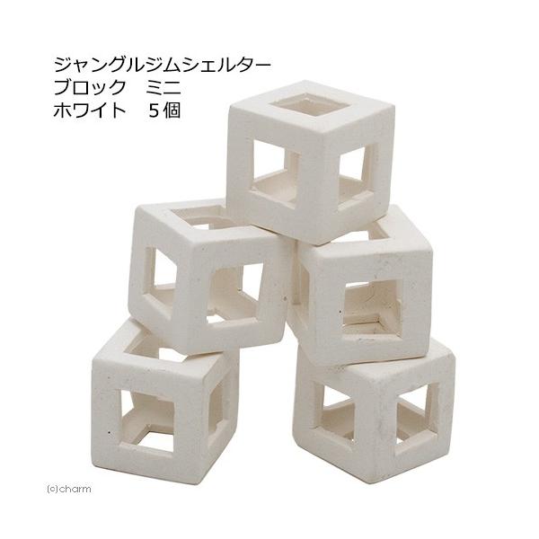 メーカー：(株)リーフ Leaf Corp _aqua　アクアリウム用品　金魚・メダカ　アクア用品　水槽用アクセサリ　建造物　スクエア　シェルター　産卵筒　20190522　hwlist　ＳＡＮＺ　避難　避難場所　いじめ　苛め　虐め　逃げる...