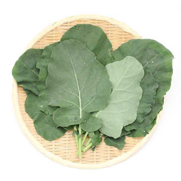 メーカー：(株)リーフ Leaf Corp リーフコーポレーション　リーフコーポ　リーフ　ＬＥＡＦ　Corp　USAYAMA　ウサヤマ　nmbklist　_animal　animal　国産　とれたて　小動物　鳥　うさぎ　繊維　葉っぱ　ブロッ...