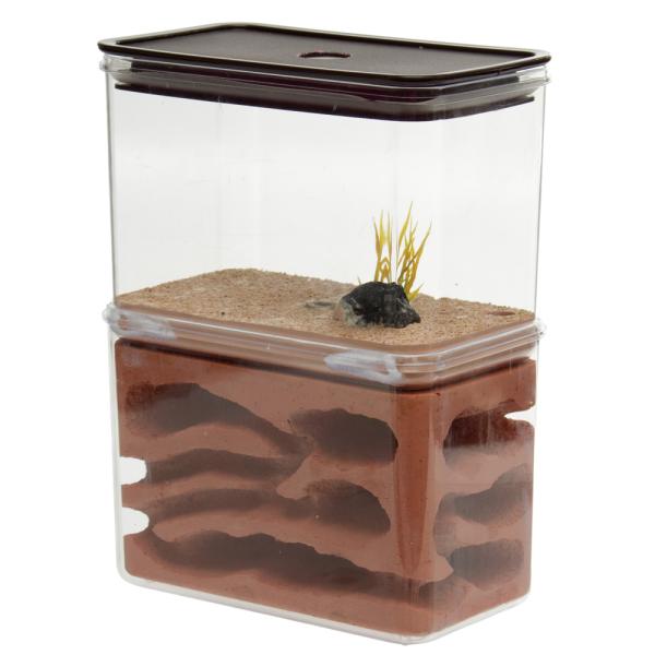 メーカー：(株)リーフ Leaf Corp アントピア　地上部一体型　ネスト　4582645947262　昆虫用品　アリ用品　飼育用品　アリ飼育用品　蟻　あり　アリの巣　自由研究　夏休み　コロニー　ネスト　部屋　巣　虫　アント　ルーム　女王...