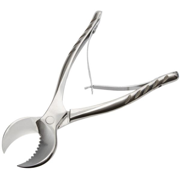 メーカー：(株)リーフ Leaf Corp コーラルカッター　ペンチタイプ　4582645947712　アクアリウム用品　アクア用品　海水用品　サンゴ用品　サンゴ　コーラル　プロパゲーション　ツール　繁殖　はさみ　プラグ　ペンチ　トング　カ...