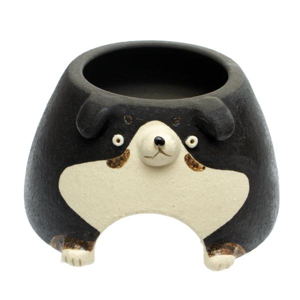 メーカー：SHELTER 亀・爬虫類　陸ガメ　爬虫類用品　シェルター　ウェットシェルター　ヤモリ　水飲み　容器　両生類　爬虫類　ヒョウモントカゲモドキ　レオパ　レオパードゲッコウ　レオパードゲッコー　ニシアフ　ニシアフリカトカゲモドキ　ヒョ...