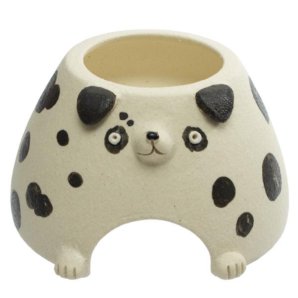 メーカー：SHELTER 亀・爬虫類　陸ガメ　爬虫類用品　シェルター　ウェットシェルター　ヤモリ　水飲み　容器　両生類　爬虫類　ヒョウモントカゲモドキ　レオパ　レオパードゲッコウ　レオパードゲッコー　ニシアフ　ニシアフリカトカゲモドキ　ヒョ...