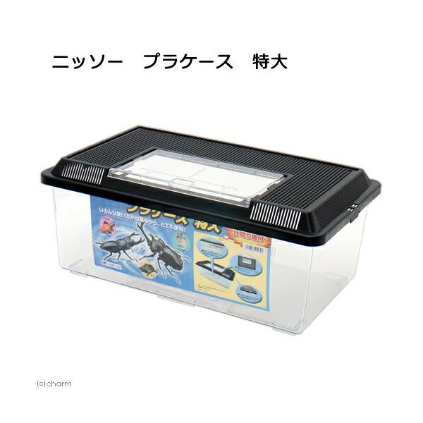 メーカー：ニッソー 昆虫用品　アクア用品　両生類　爬虫類　亀・爬虫類　金魚　メダカ　小型魚　4975637411757　NWP-156　ニッソー　プラケース　プラスチック　黒　ミニ　Ｓ　20180318　nych　昆虫ケース　ＮＩＳＳＯ　虫...