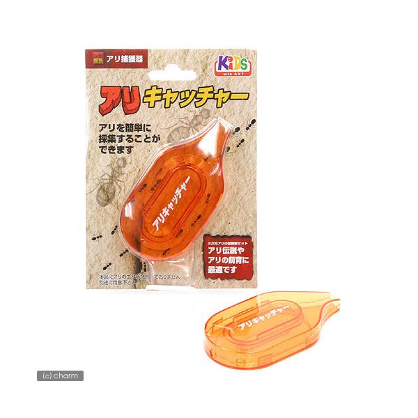 メーカー：日本動物薬品 昆虫用品1　器具　その他　雑貨　インテリア　アリ伝説　自由研究　bnr07siikuset　_insect　4975677028137　jyuknku_2015　nichidou_SV0723　kansatsu_se...