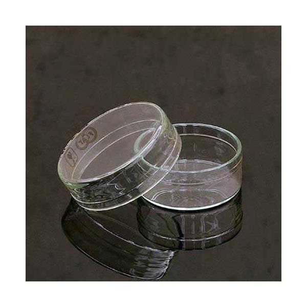 _aqua　_daily　器具　その他　雑貨　zakka_tokusyuu　標本用品　インテリア　rikasitu720　自由研究goods　_insect　4580295170436　jyuknku_2015　glasspot　labor...